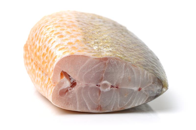 Yellow Croaker Fish stock photo. Image of dinner, yellow - 111889890