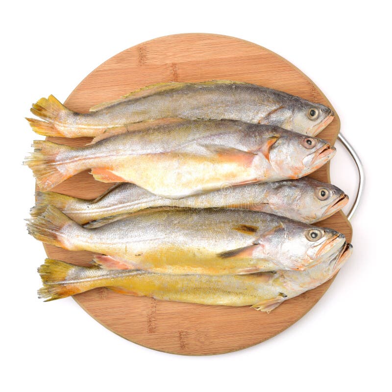 Yellow Croaker Fish stock image. Image of asia, cooking - 106480023