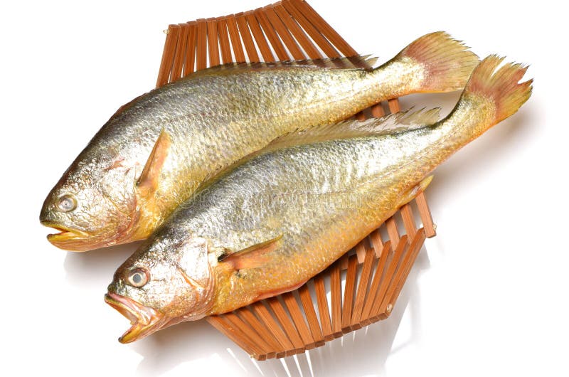 Yellow Croaker Fish stock photo. Image of dinner, yellow - 111889890