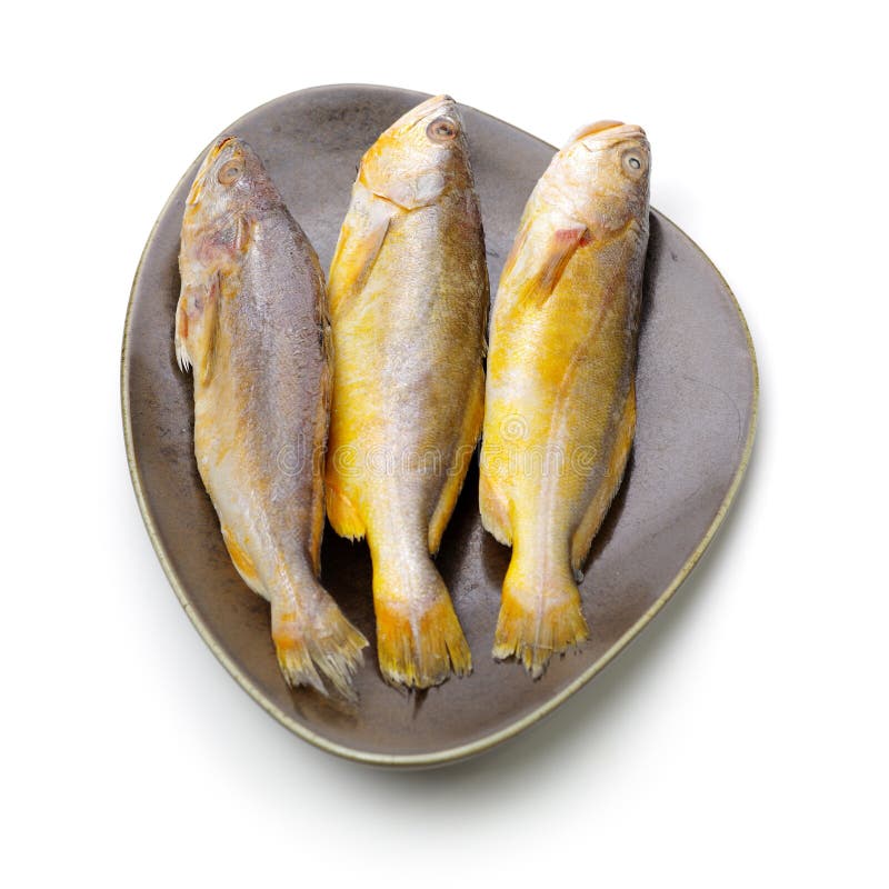 194 Fresh Yellow Croaker Fish Stock Photos - Free & Royalty-Free Stock ...