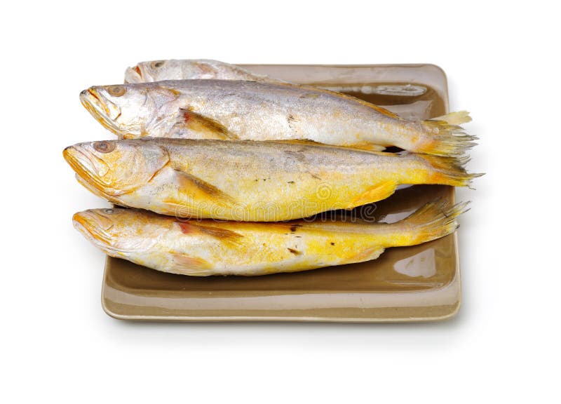 Yellow Croaker Fish stock photo. Image of gourmet, nature - 111889890