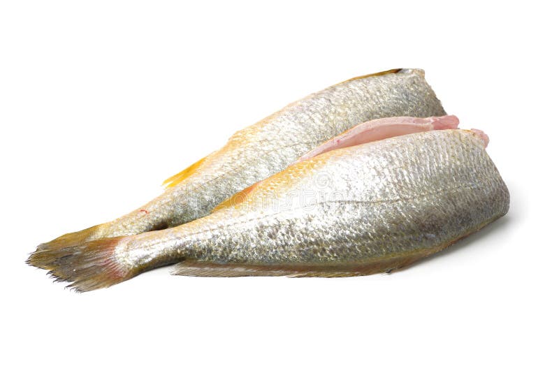 Yellow Croaker Fish Isolated Stock Photo - Image of aquatic, white ...