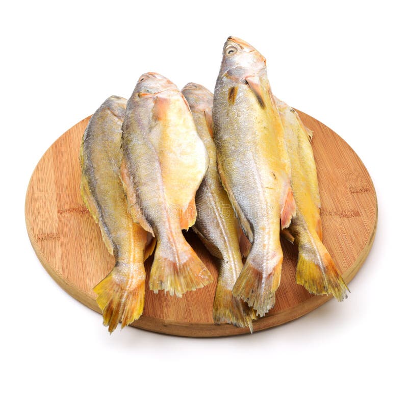Croaker Fish Stock Photos - Download 388 Royalty Free Photos