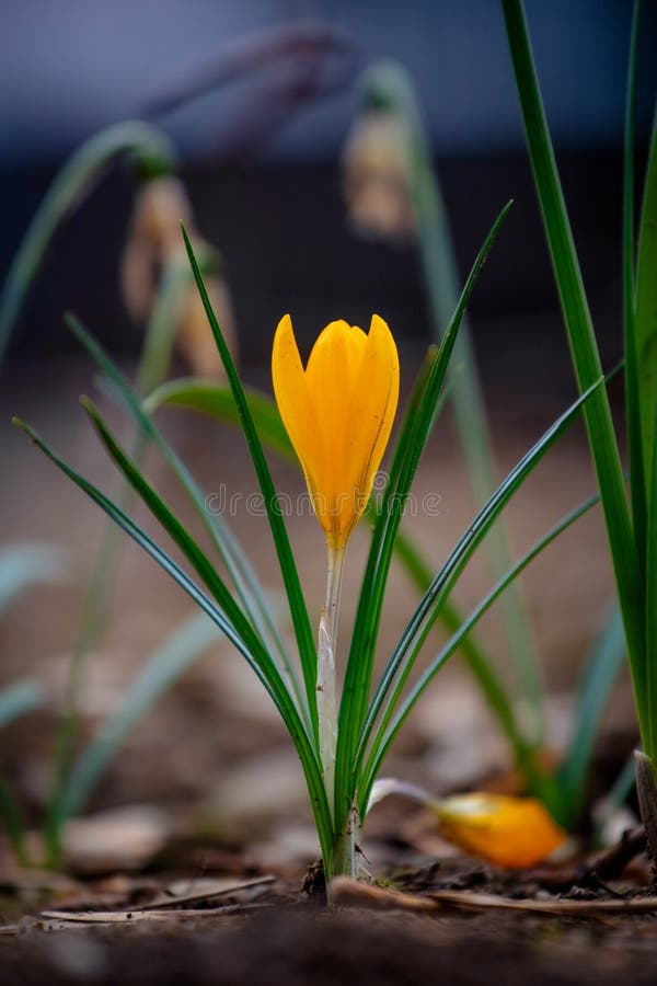 Wild Place, Stone Shore, Top View, Turquoise Sea Waves at Sunset Stock ...