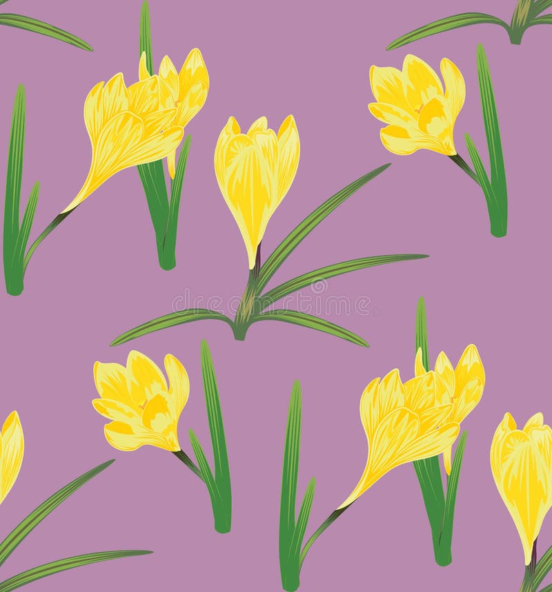 Yellow Crocus Flowers stock vector. Illustration of purple - 91662405