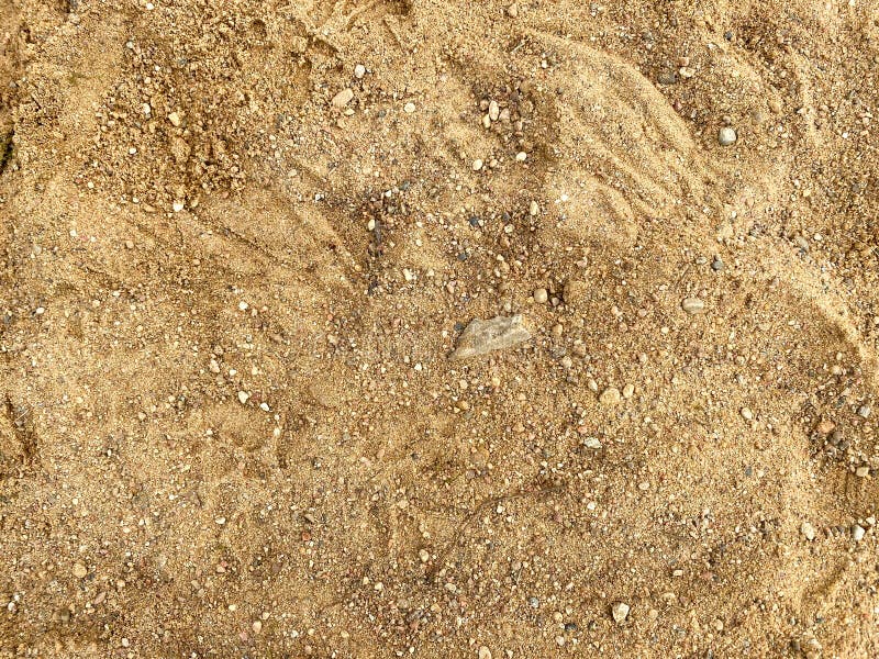 Yellow Crumbly Dry Sand with Small Stones on the Ground. the Background ...
