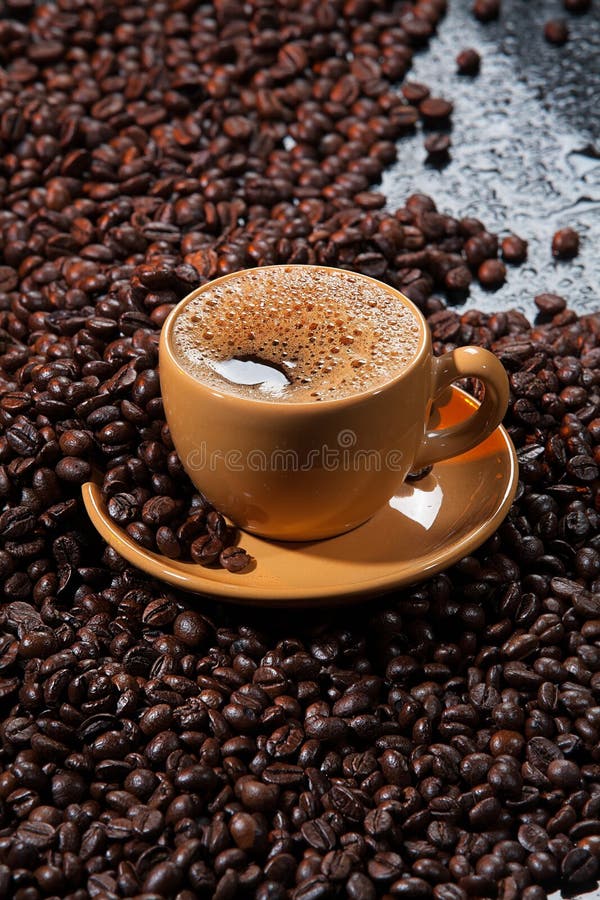 Coffee Cuop and Take Away Lunch Box Isolated on White Stock Image ...