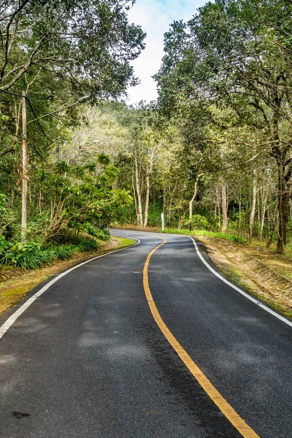 Yellow curve road sign stock photo. Image of curve, street - 84092810