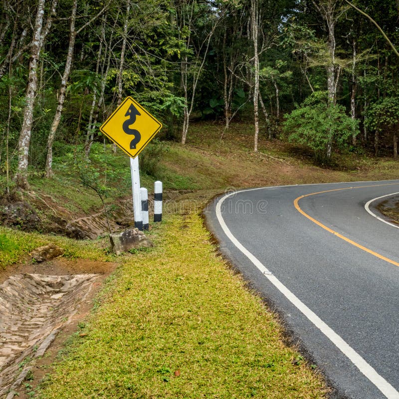 Yellow curve road sign stock photo. Image of forest, path - 88954740