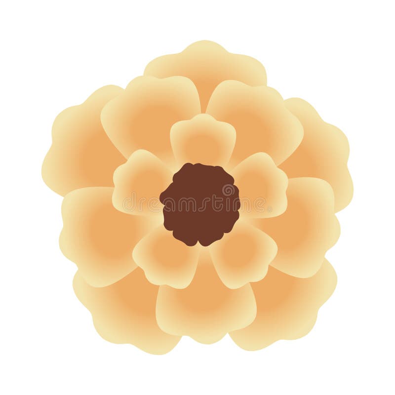 Yellow Cute Fluffy Wild Boar Symbol 2019 In Chinese Lunar Calendar ... Yellow Cute Fluffy Wild Boar Symbol 2019 In Chinese Lunar Calendar ...