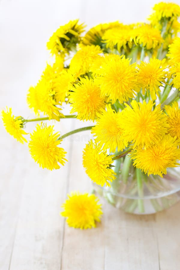 Yellow dandelions in vase stock image. Image of nature - 31031619