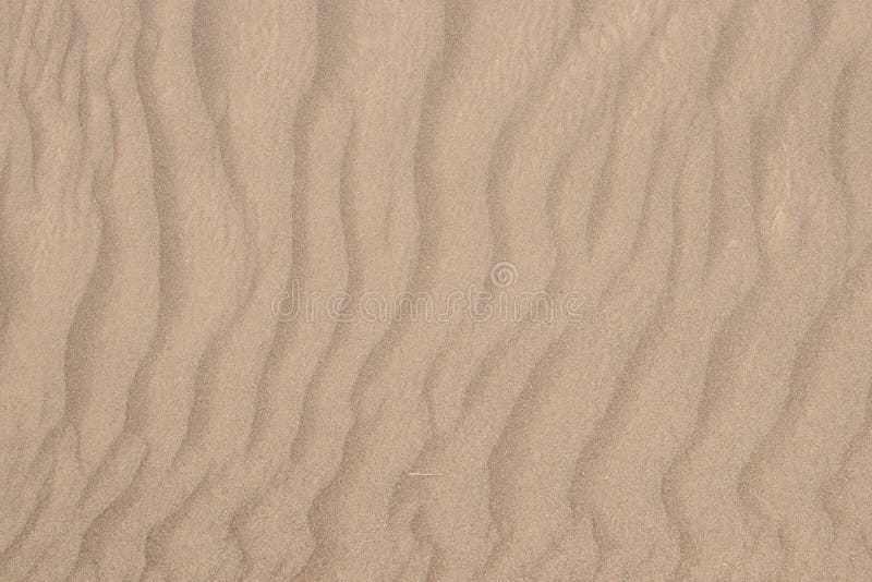 Yellow Desert Sand Dunes Texture Natural Background.abstact Sand Wave ...