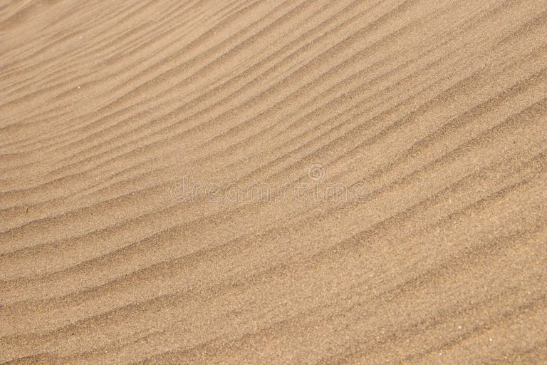 Yellow Desert Sand Dunes Texture Natural Background.abstact Sand Wave ...
