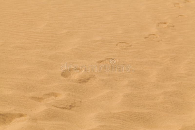 Desert Sand Texture