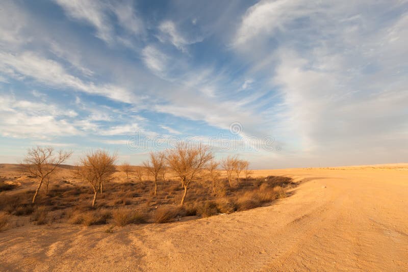 Yellow desert stock image. Image of national, landscape - 48247443
