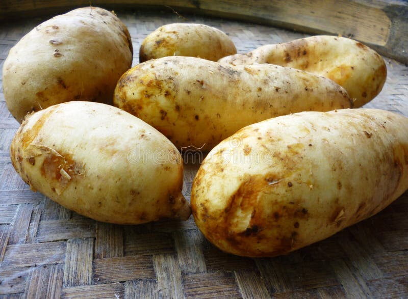 Yellow Dioscorea Esculenta Yam Stock Photo - Image of farming ...