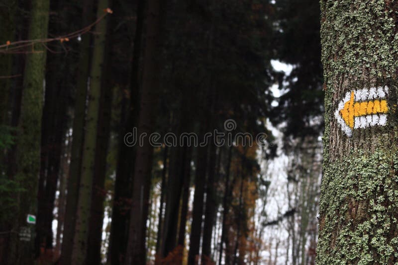 Yellow direction arrow stock image. Image of path, colorful - 62566031