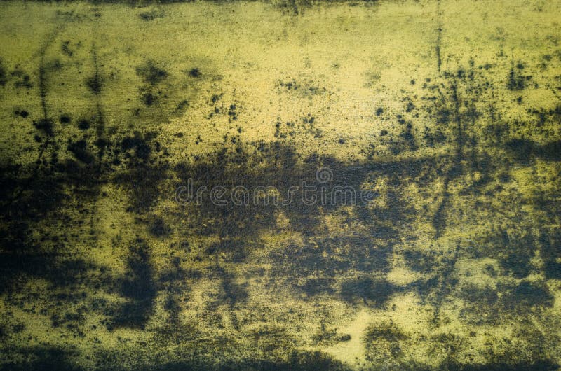 Humid wall stock photo. Image of mold, parasitic, dirty - 12473618