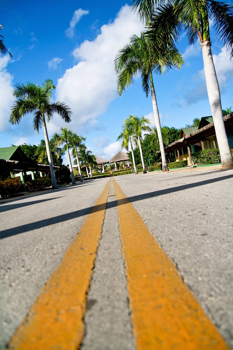 1,134 Road Dividing Lines Stock Photos - Free & Royalty-Free Stock ...