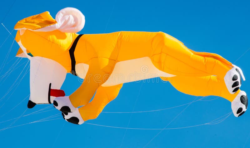 Dog Kite stock image. Image of high, play, spot, spots - 14985519