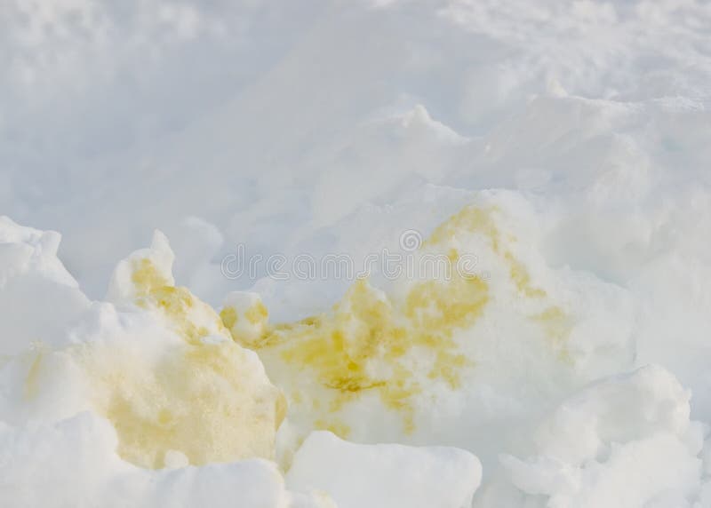 Dog s urine on the snow stock image. Image of winter - 181573253