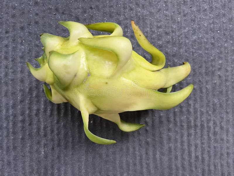 Yellow Dragon Fruit is a New Variety in Banyuwangi, East Java ...