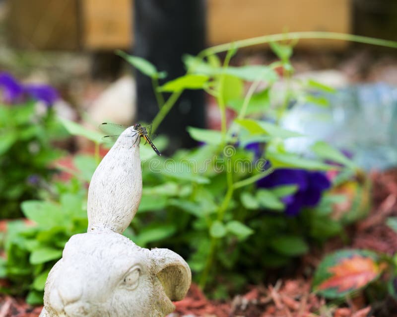 Yellow Dragonfly on a Bunny Statue Stock Photo - Image of nature, bunny ...