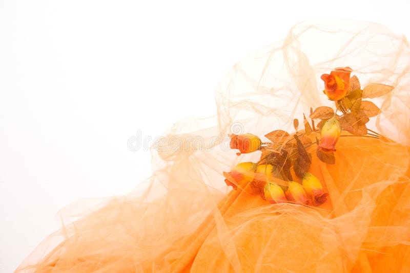 Yellow Dream stock photo. Image of flower, mood, relax - 553890