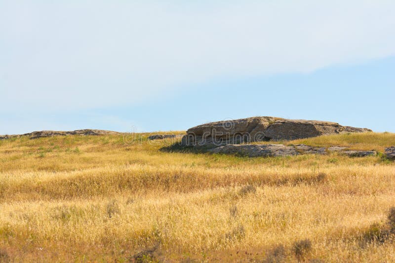 Yellow Dried Grass in the Field Stock Image - Image of field, summer ...