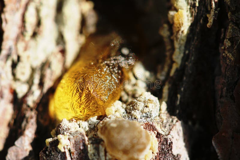 The yellow drop of resin stock image. Image of phenomenon - 72304193