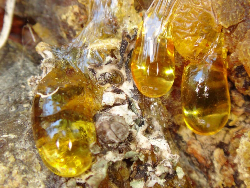 The yellow drop of resin stock image. Image of phenomenon - 72304193