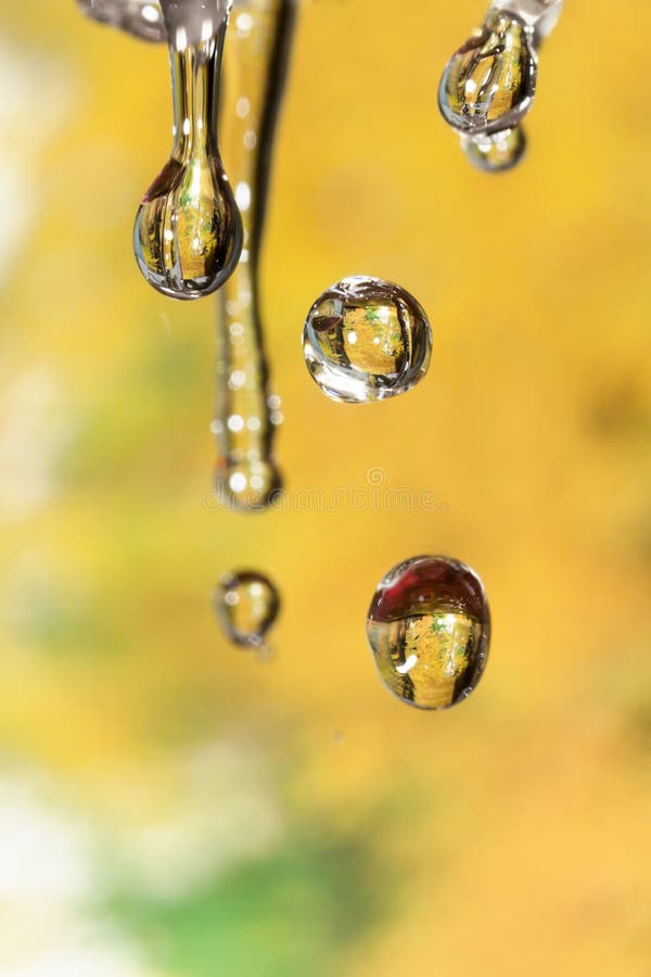 Seasons-fall. stock photo. Image of cyan, ground, color - 11180006