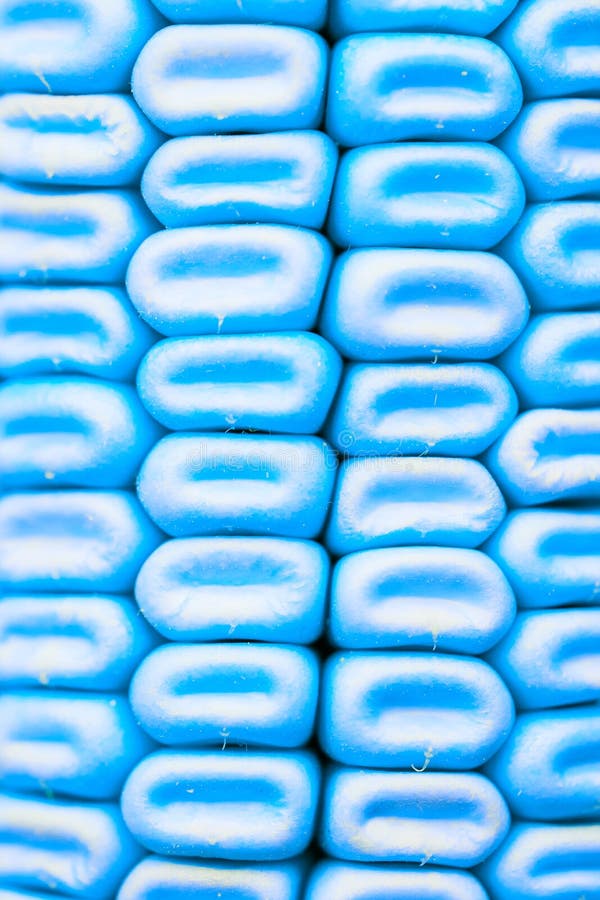 Yellow Dry Maize Texture Close Up Stock Photo - Image of forage, grain ...