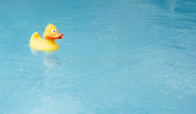 Yellow duck stock image. Image of duckling, child, plastic - 21369625