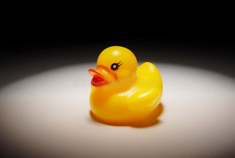 Yellow Duck Picture. Image: 5460176