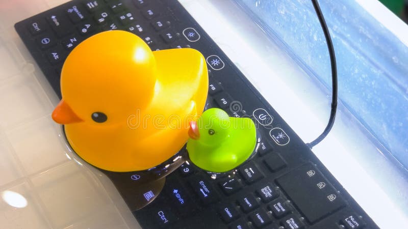 Rubber Ducky Wallpaper Stock Photos - Free & Royalty-Free Stock Photos ...