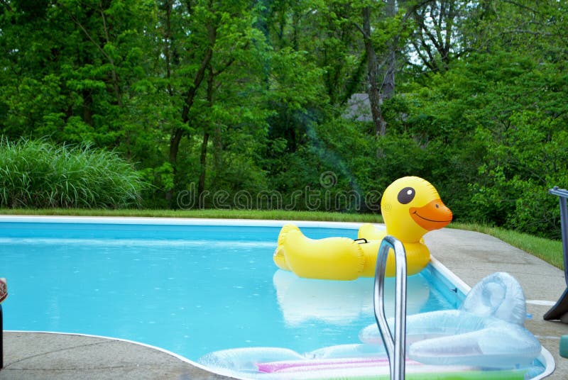 Yellow Duck Inflatable Floating in a Backyard Swimming Pool Stock Image ...