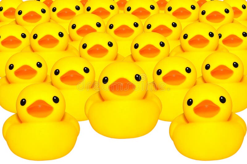 Yellow duck isolated stock photo. Image of child, dicut - 77689614