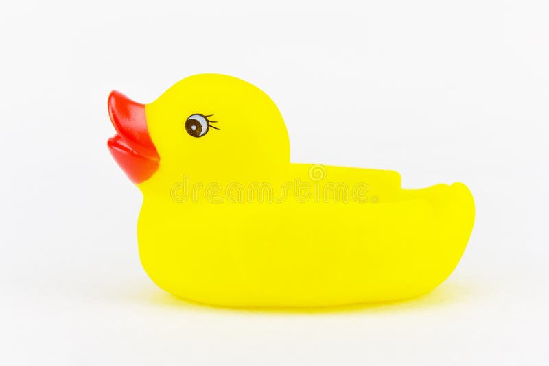 Yellow duck stock photo. Image of play, poultry, bird - 57731284