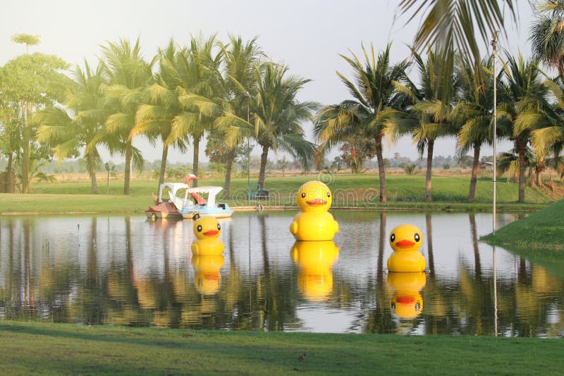 Yellow duck in the pool stock image. Image of coconut - 90670103