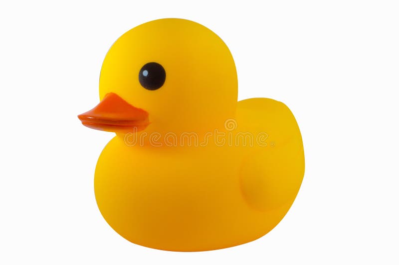 Yellow duck rubber stock photo. Image of pool, yellow - 85027626