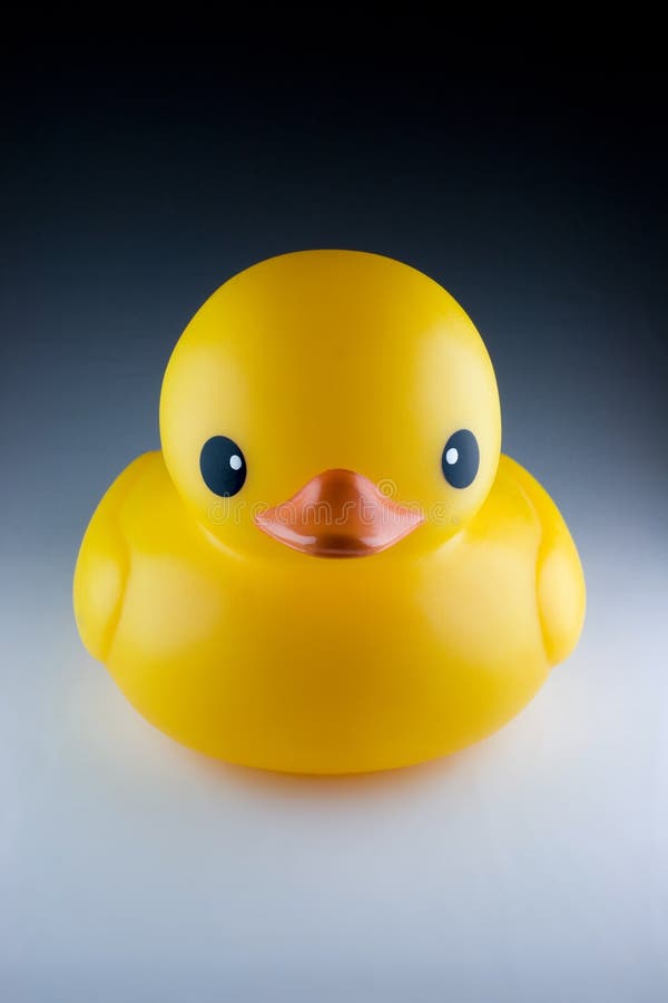 Yellow duck toy stock image. Image of innocence, spring - 10944345