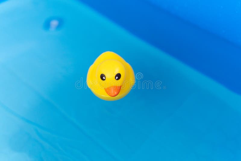 A Yellow Duck Toy on Mini Pool Stock Photo - Image of water, adorable ...