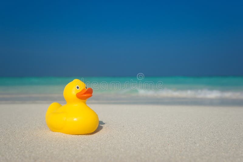 Yellow Duck on the Tropical Beach. Concept Travel and Vacation Stock ...