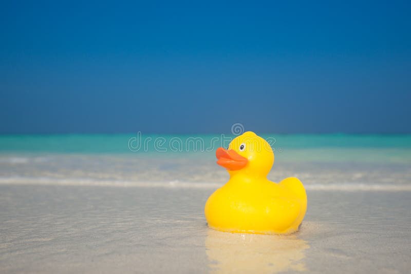 Yellow Duck on the Tropical Beach. Concept Travel and Vacation Stock ...