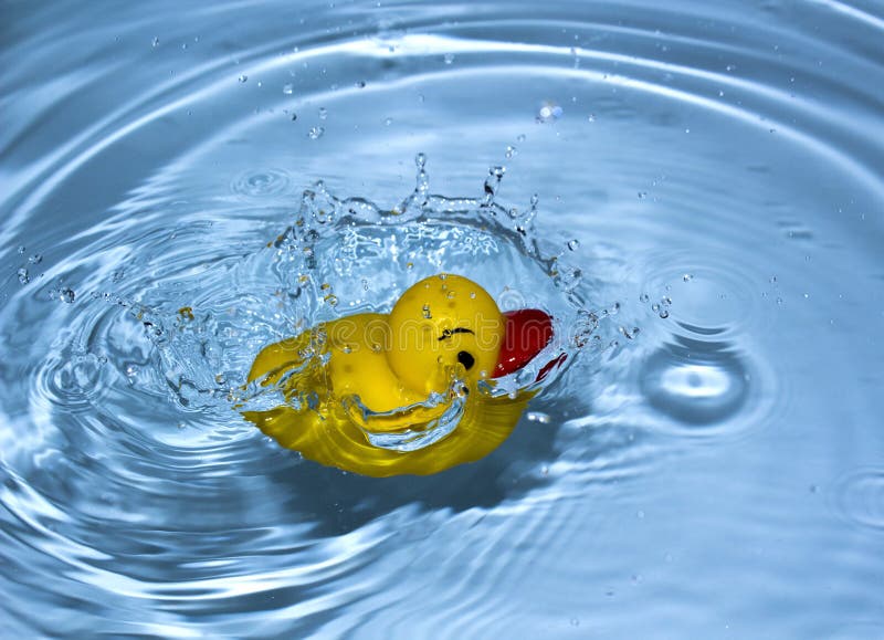 Yellow duck stock photo. Image of yellow, water, splash - 66210530