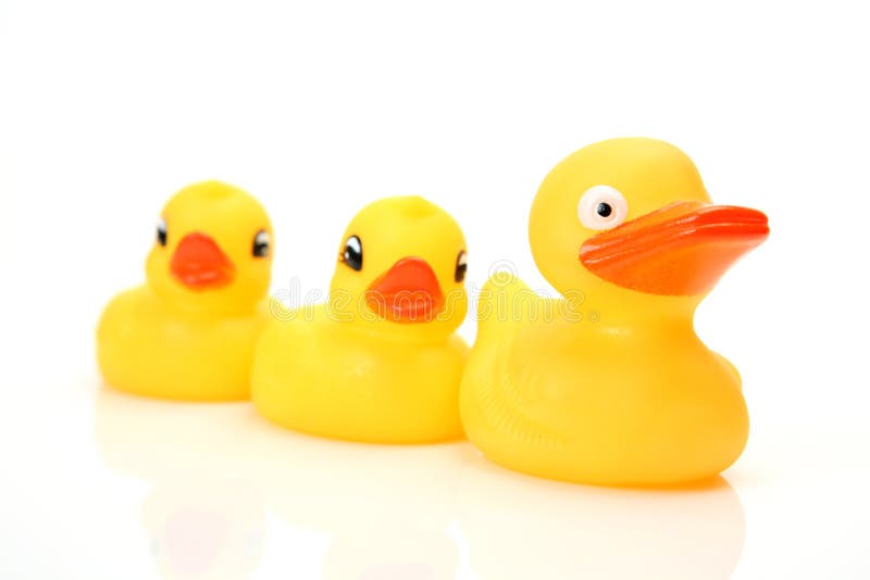Yellow ducks stock image. Image of yellow, children, duck - 19183737
