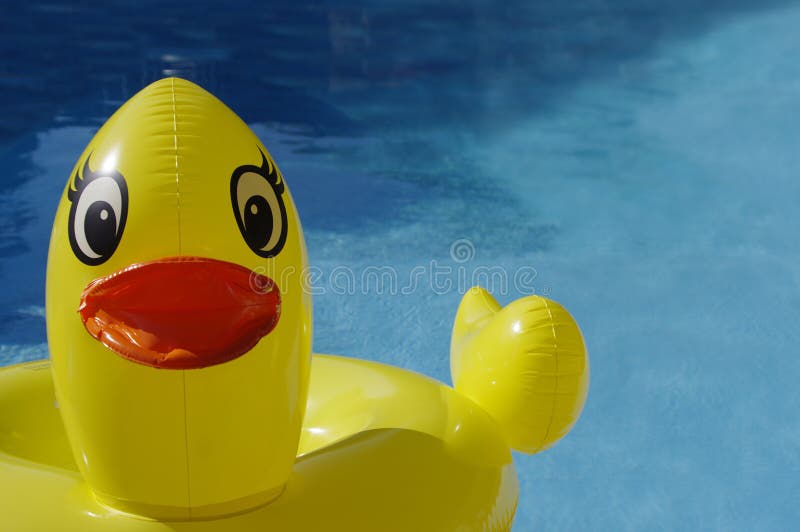 Yellow Ducky Toy stock photo. Image of pool, oversized - 102407954