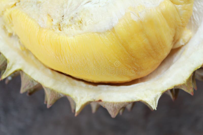 Yellow durian stock image. Image of durian, delicious - 40146713