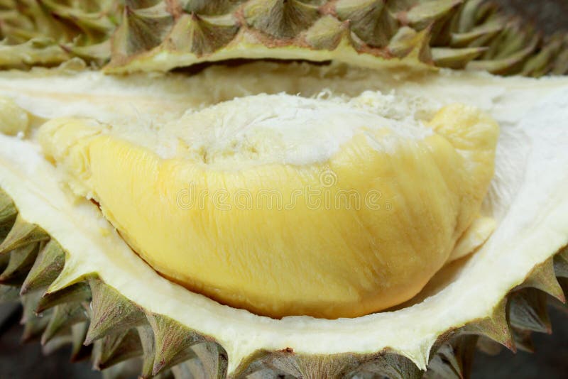 Yellow Durian stock photo. Image of dessert, nutrition - 33715424